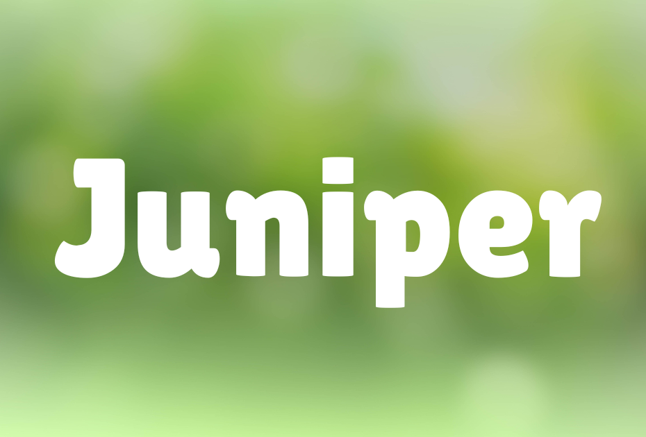 Middle Names for Juniper - Baby Name Magic